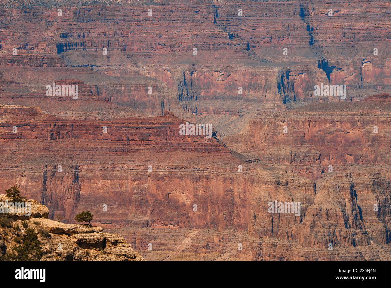 Grand Canyon Landscape, Stunning Geological Formations, Arizona, USA ...