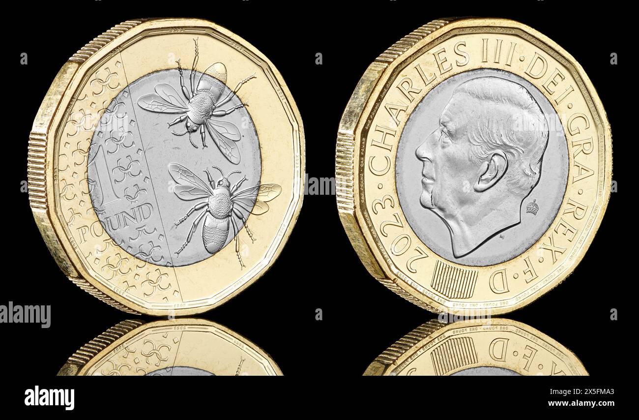 The first £1 coin to feature King Charles III. The reverse shows a pair ...
