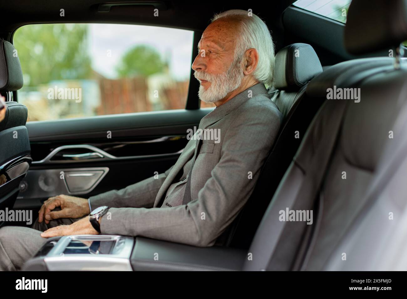 Well-dressed elderly man with a beard smiles contentedly while seated ...