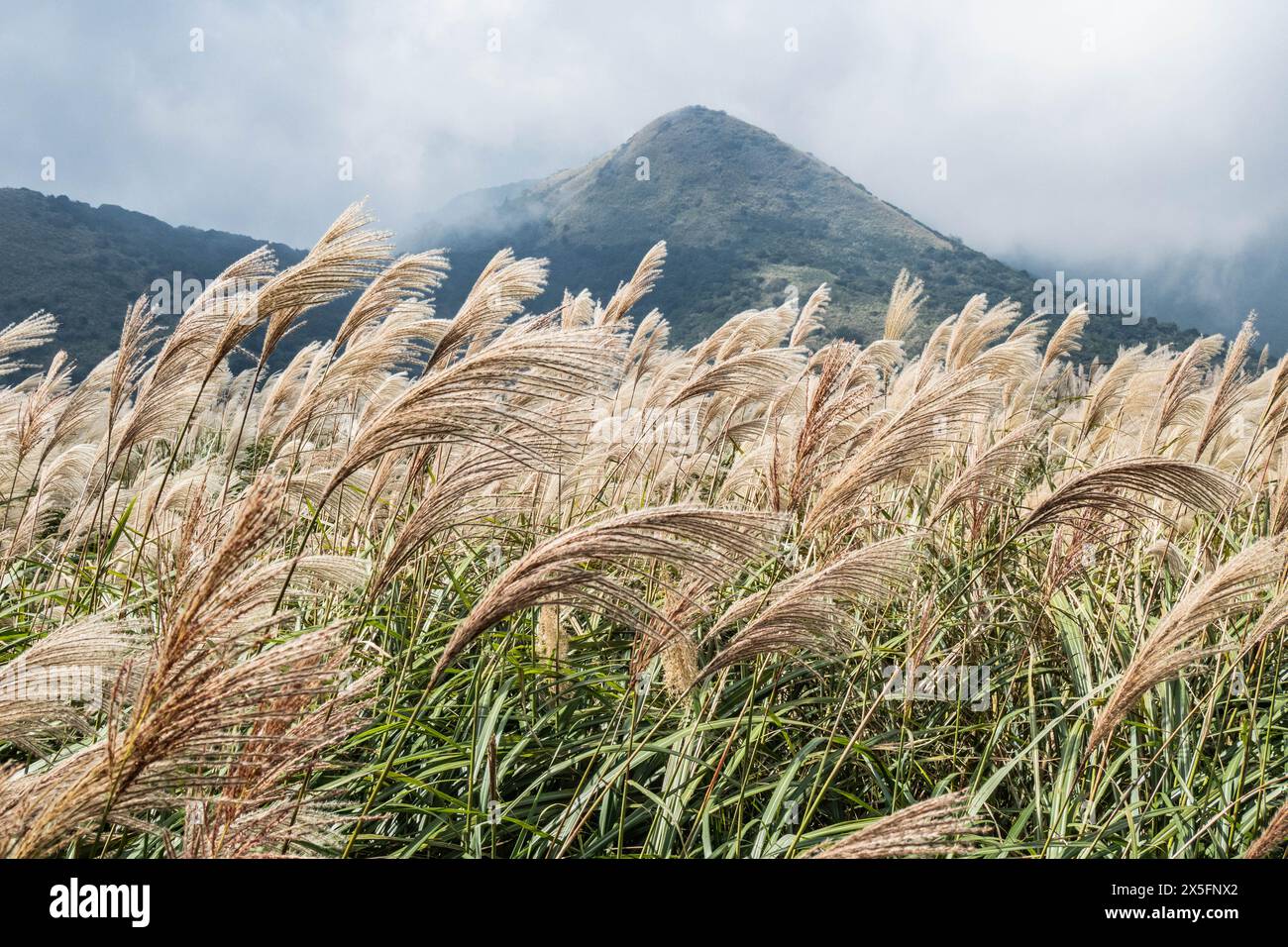 Xiaoyoukeng recreation area hi-res stock photography and images - Alamy