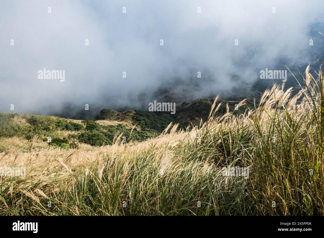 Chinese silver grass and gorgeous view from Teapot Mountain Trail ...