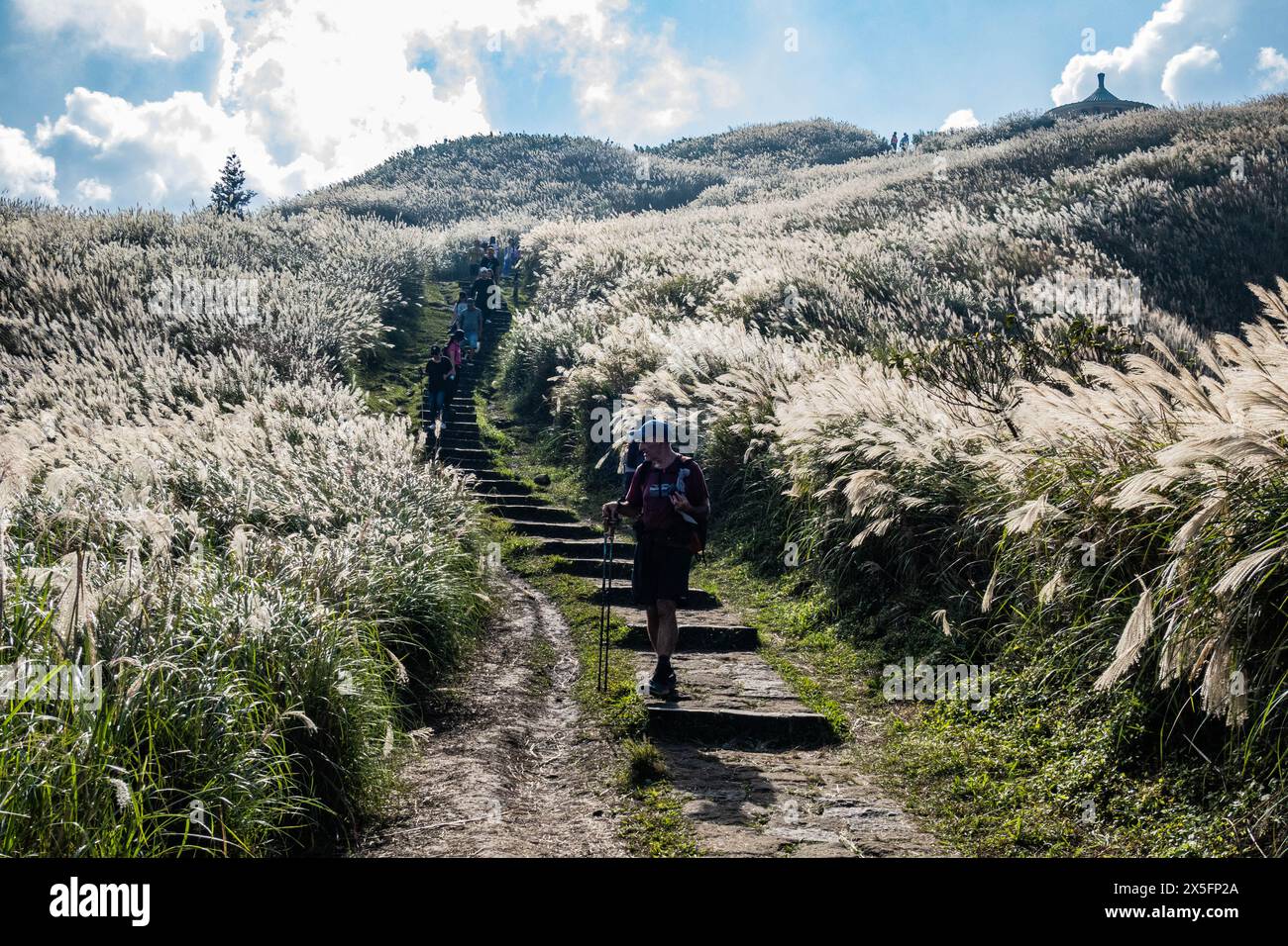 Chinese silver grass and gorgeous view from Teapot Mountain Trail ...