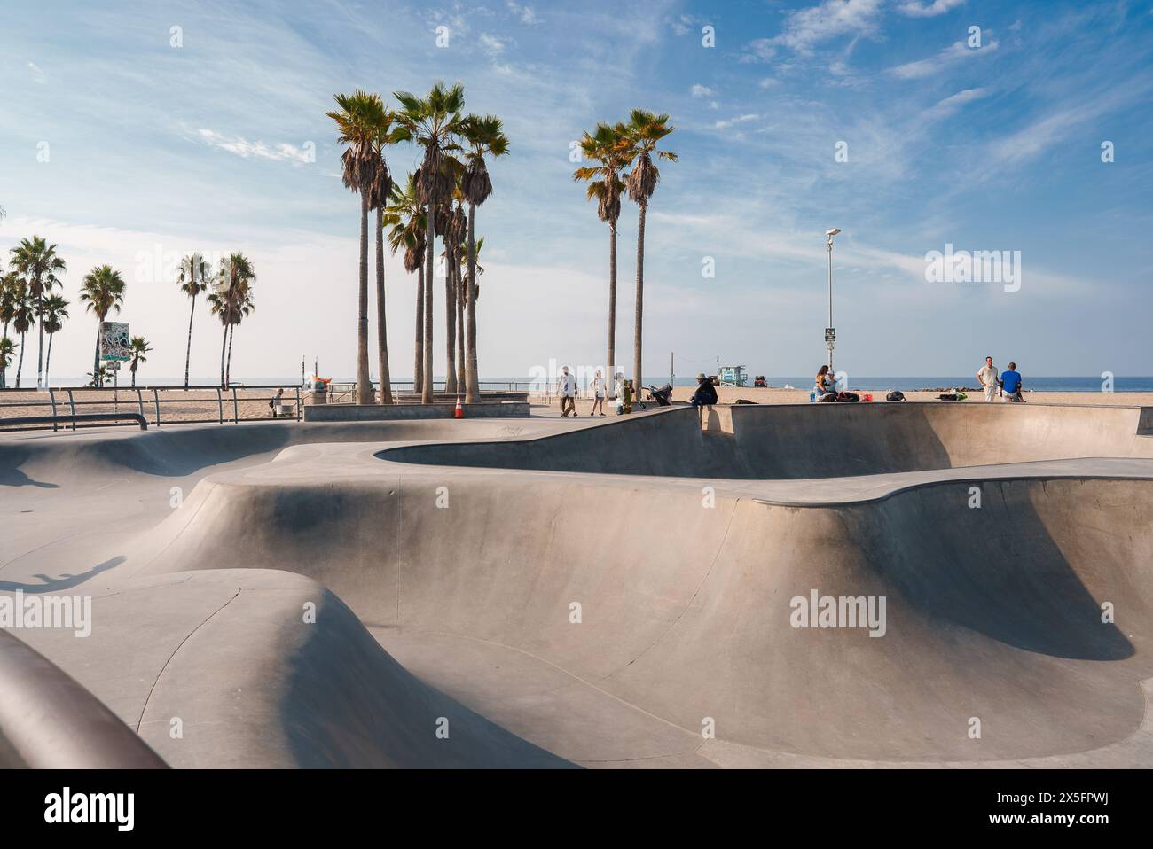 Venice Beach Skatepark, LA Dynamic Skateboarding Scene amid Palms and ...