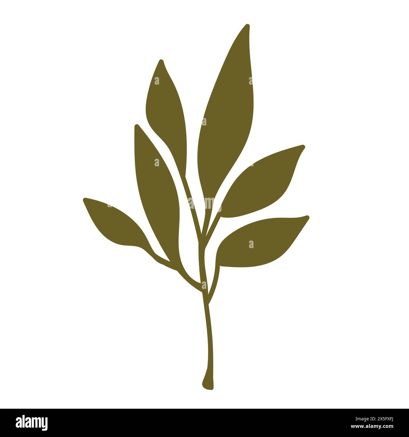 Nature graphic element. Plant leaf. Vector illustration Stock Vector ...