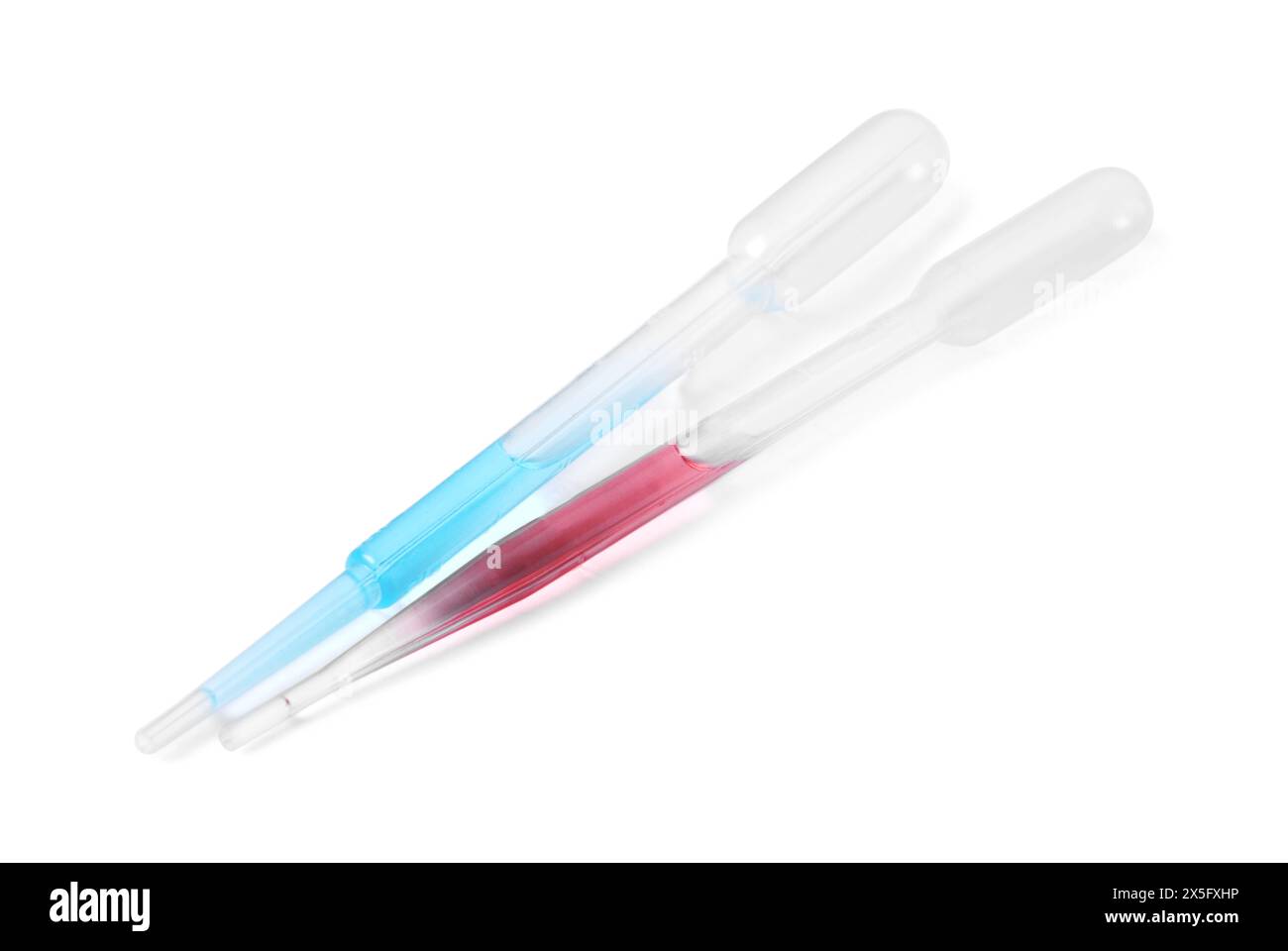 Transfer experiment hi-res stock photography and images - Alamy