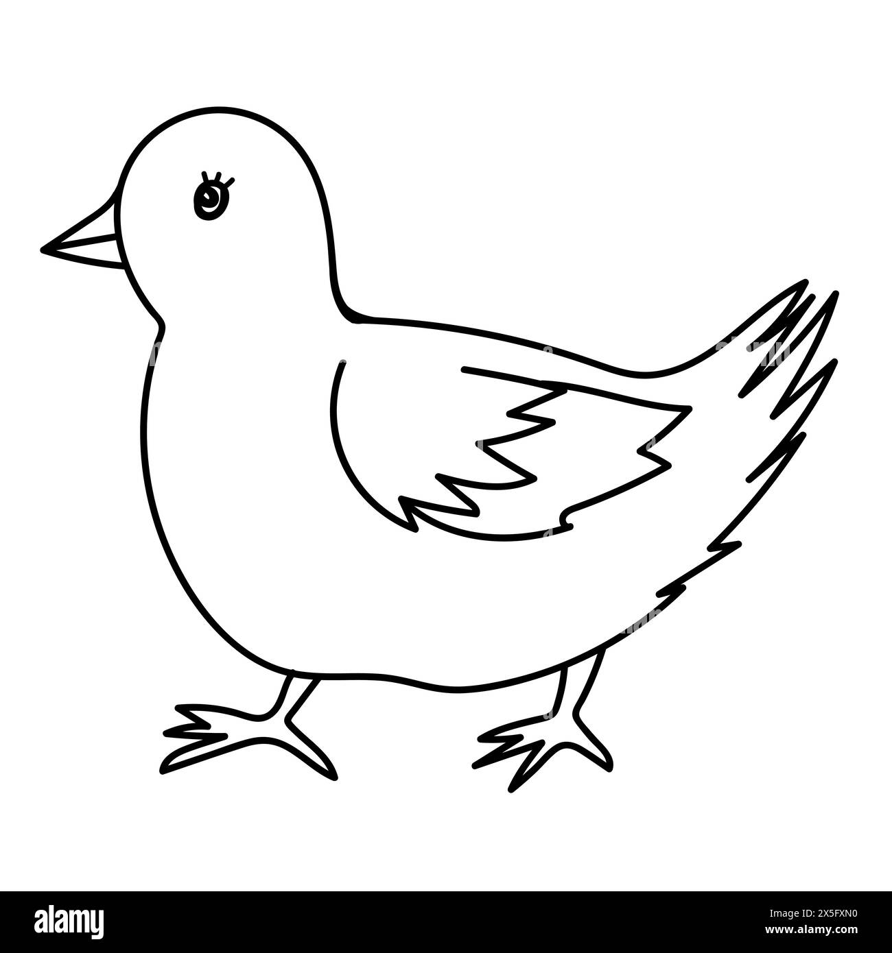 Bird line drawing hi-res stock photography and images - Alamy