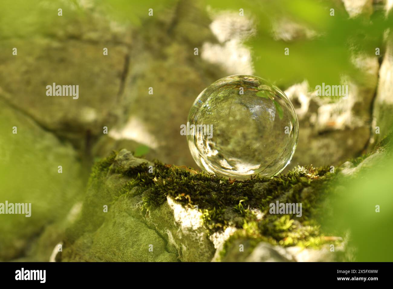 Beautiful forest, overturned reflection. Crystal ball on stone surface ...