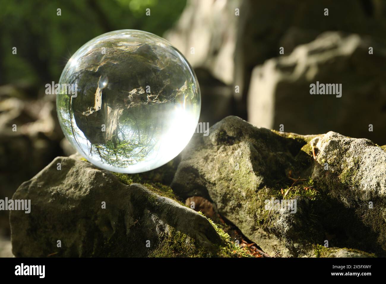 Beautiful forest with green trees, overturned reflection. Crystal ball ...