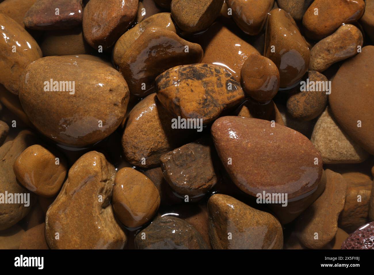 Beautiful pebbles in water as background, top view Stock Photo - Alamy
