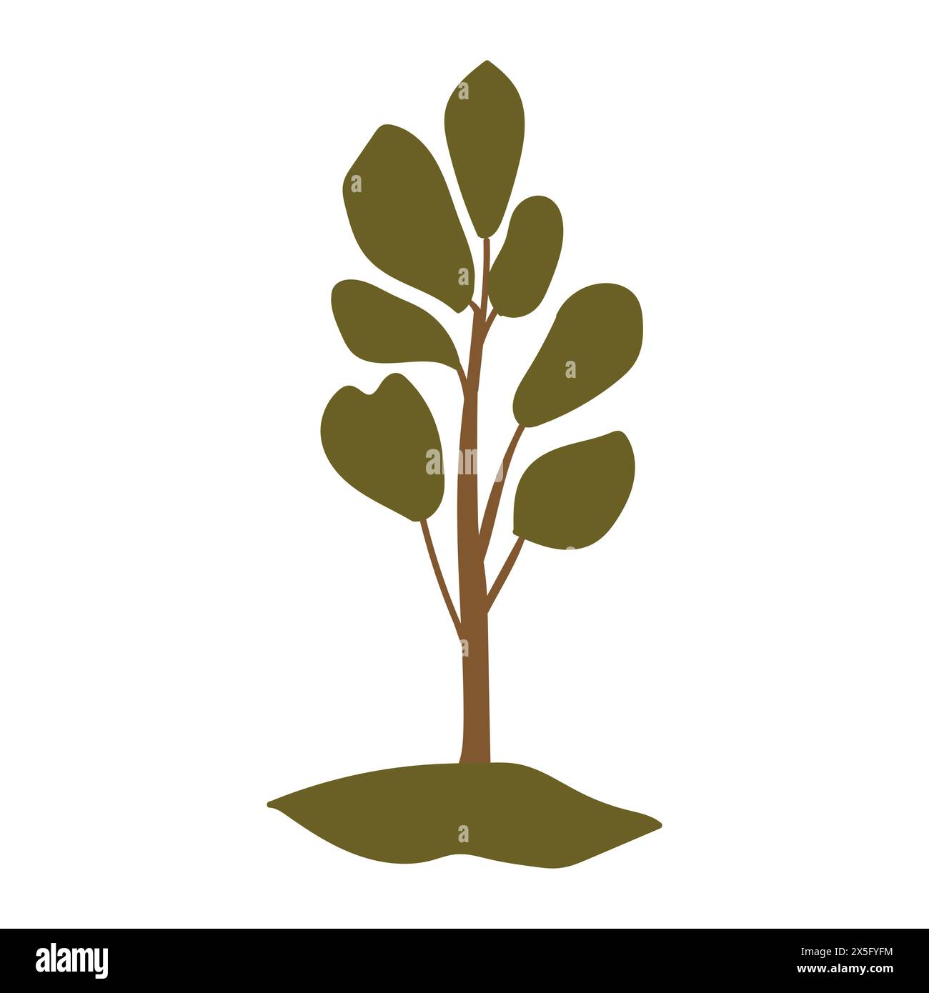 Nature graphic element. Stylized tree. Vector illustration Stock Vector ...