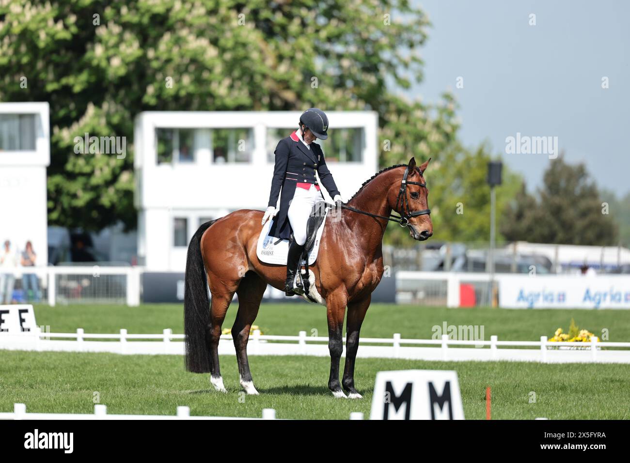 Bubby Upton of Great Britain with Cola during the dressage test at ...