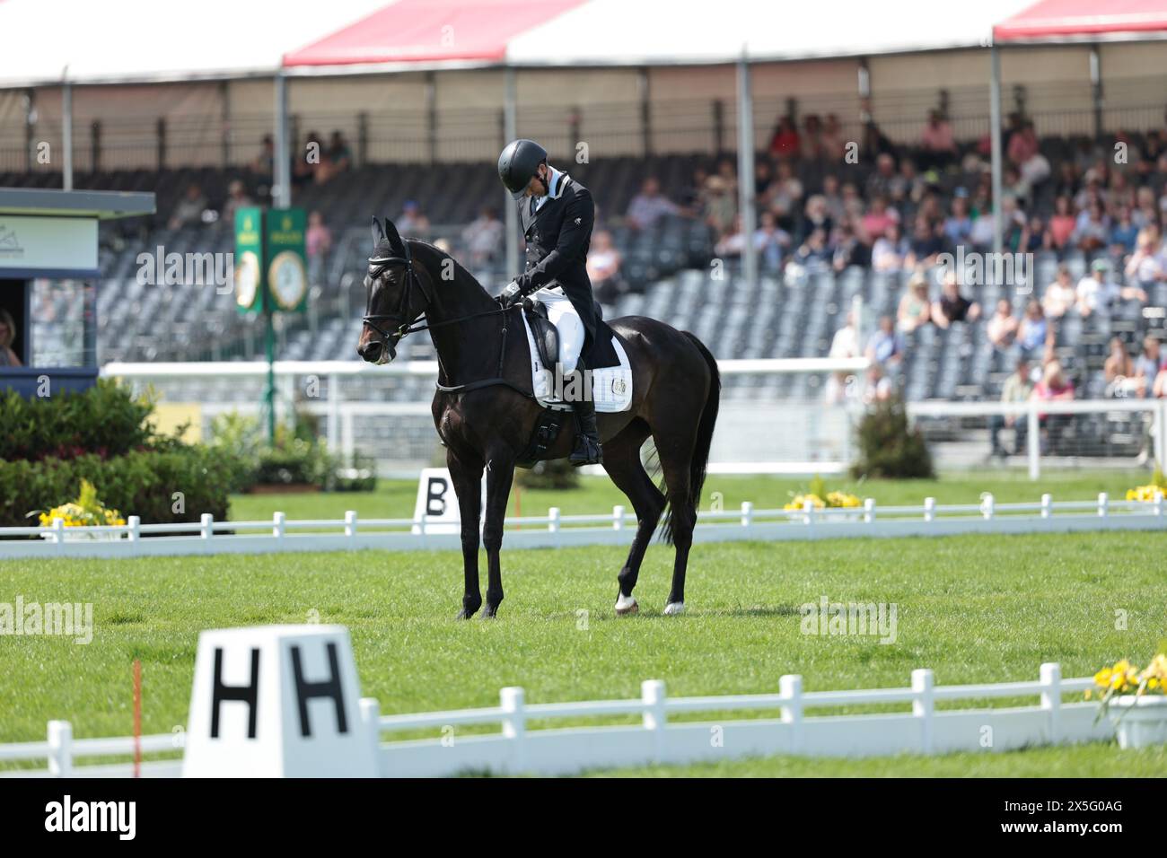 Tom Crisp of Great Britain with Liberty And Glory during the dressage ...