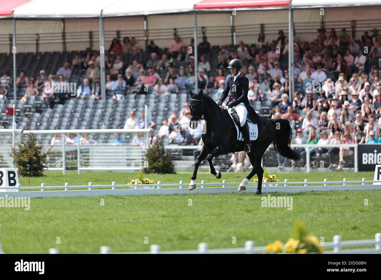 David Doel of Great Britain with Galileo Nieuwmoed during the dressage ...