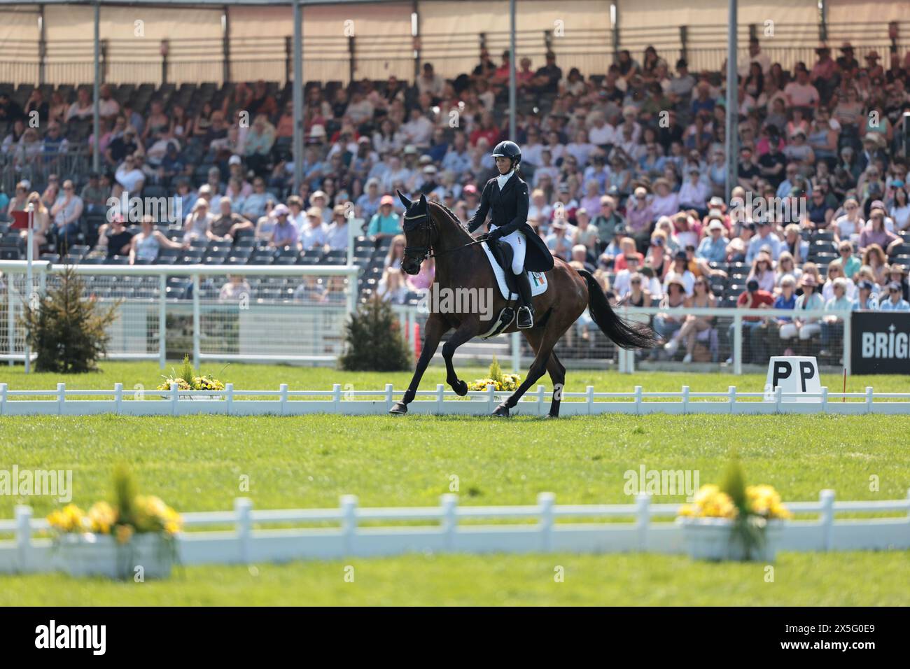 Sarah Ennis of Ireland with Grantstown Jackson during the dressage test ...