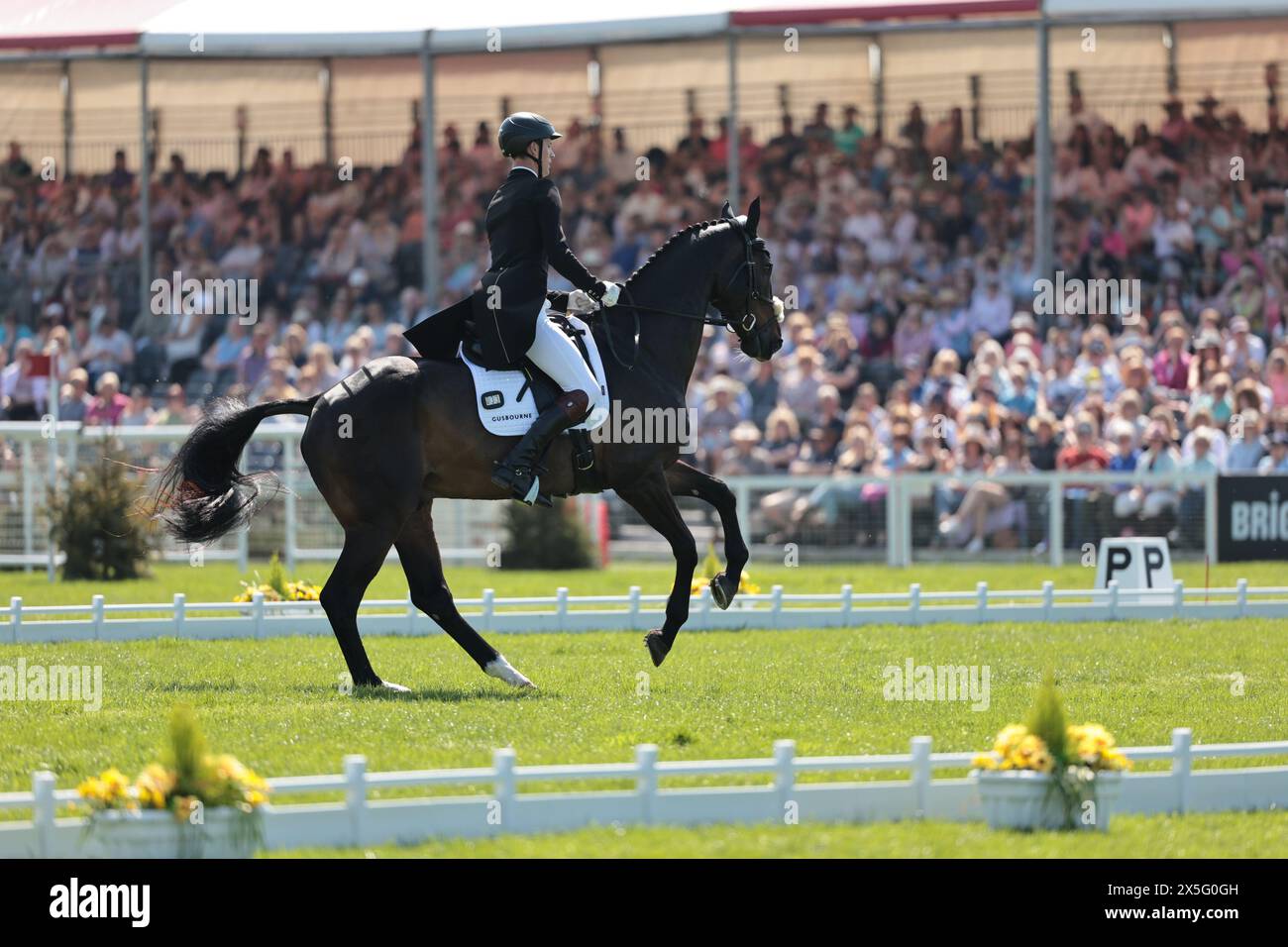 Will Rawlin of Great Britain with Ballycoog Breaker Boy during the ...
