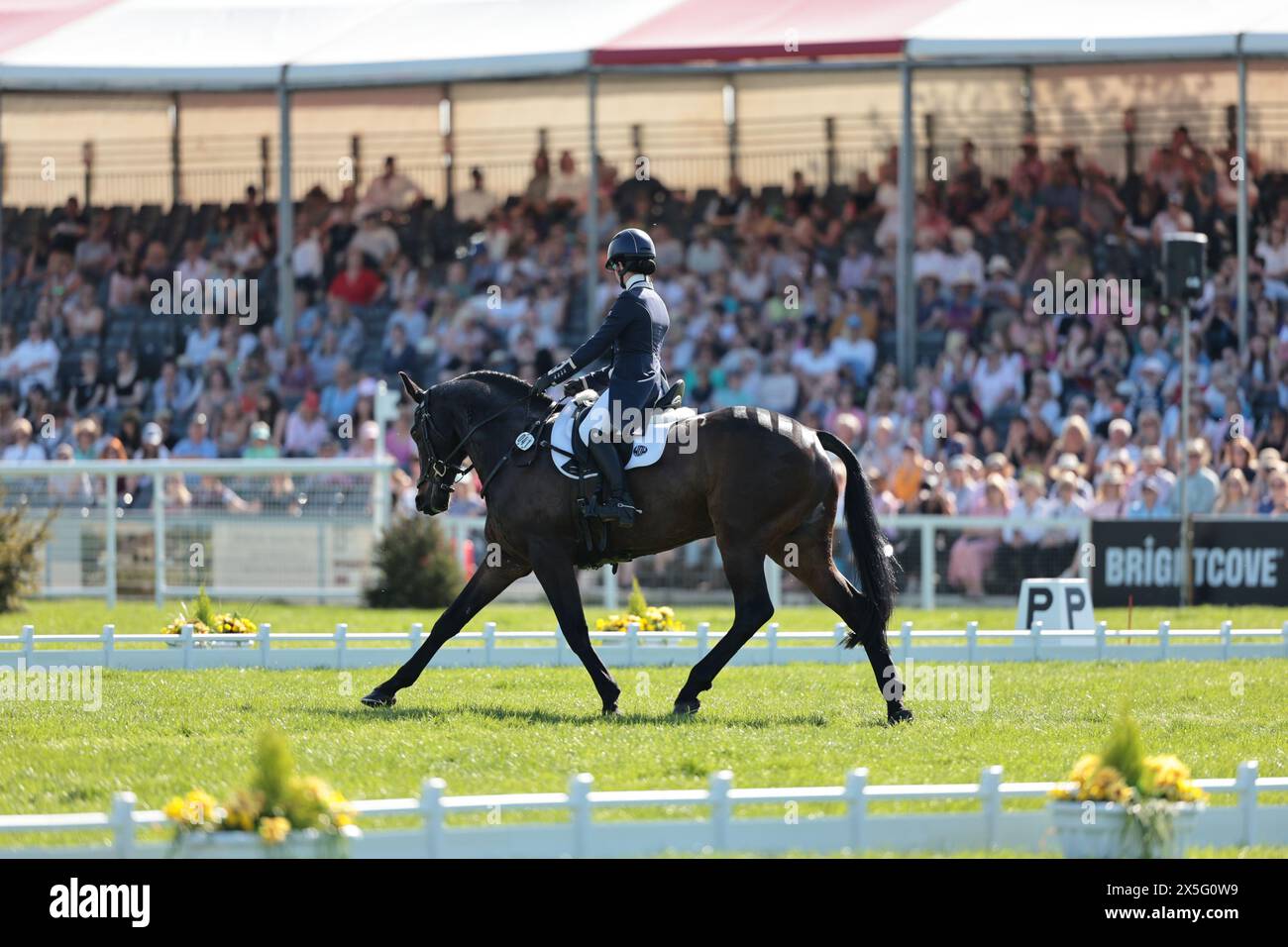 Nicky Hill of Great Britain with Mgh Bingo Boy during the dressage test ...
