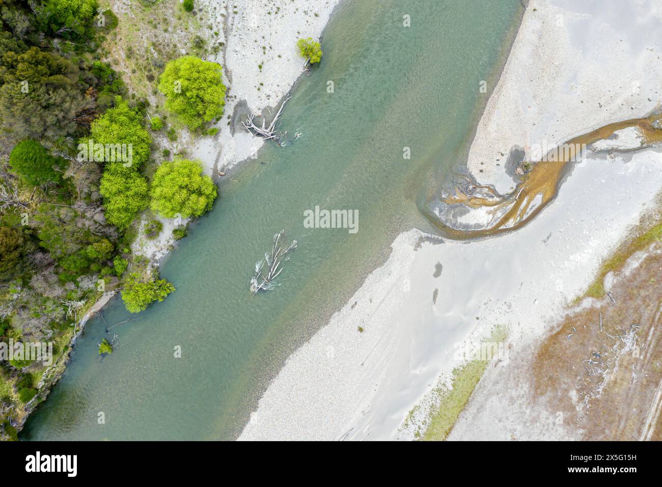 Patagonian tree hi-res stock photography and images - Alamy
