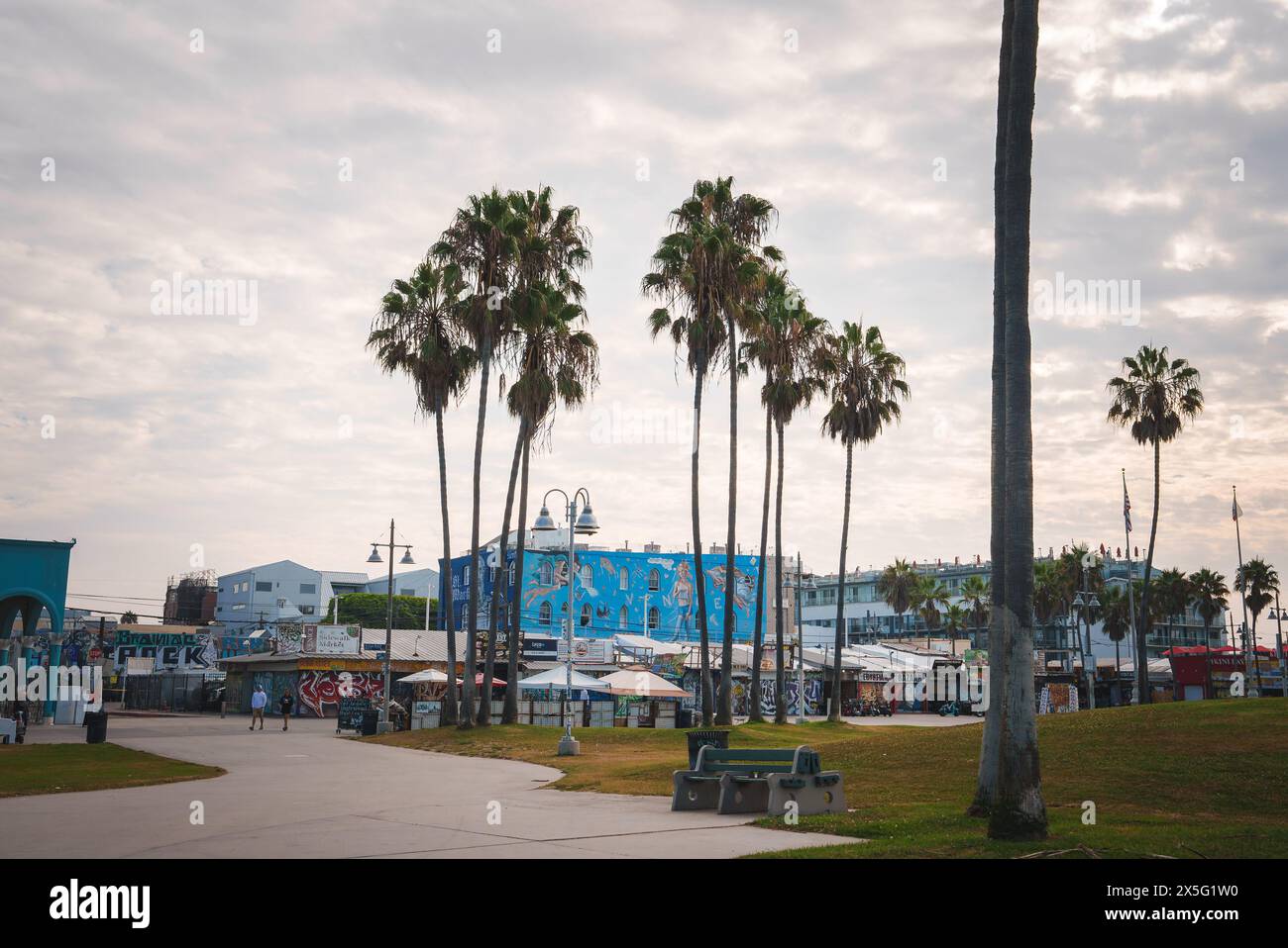 Venice Beach, Los Angeles Overcast Day Scene with Palm Trees, Graffiti ...