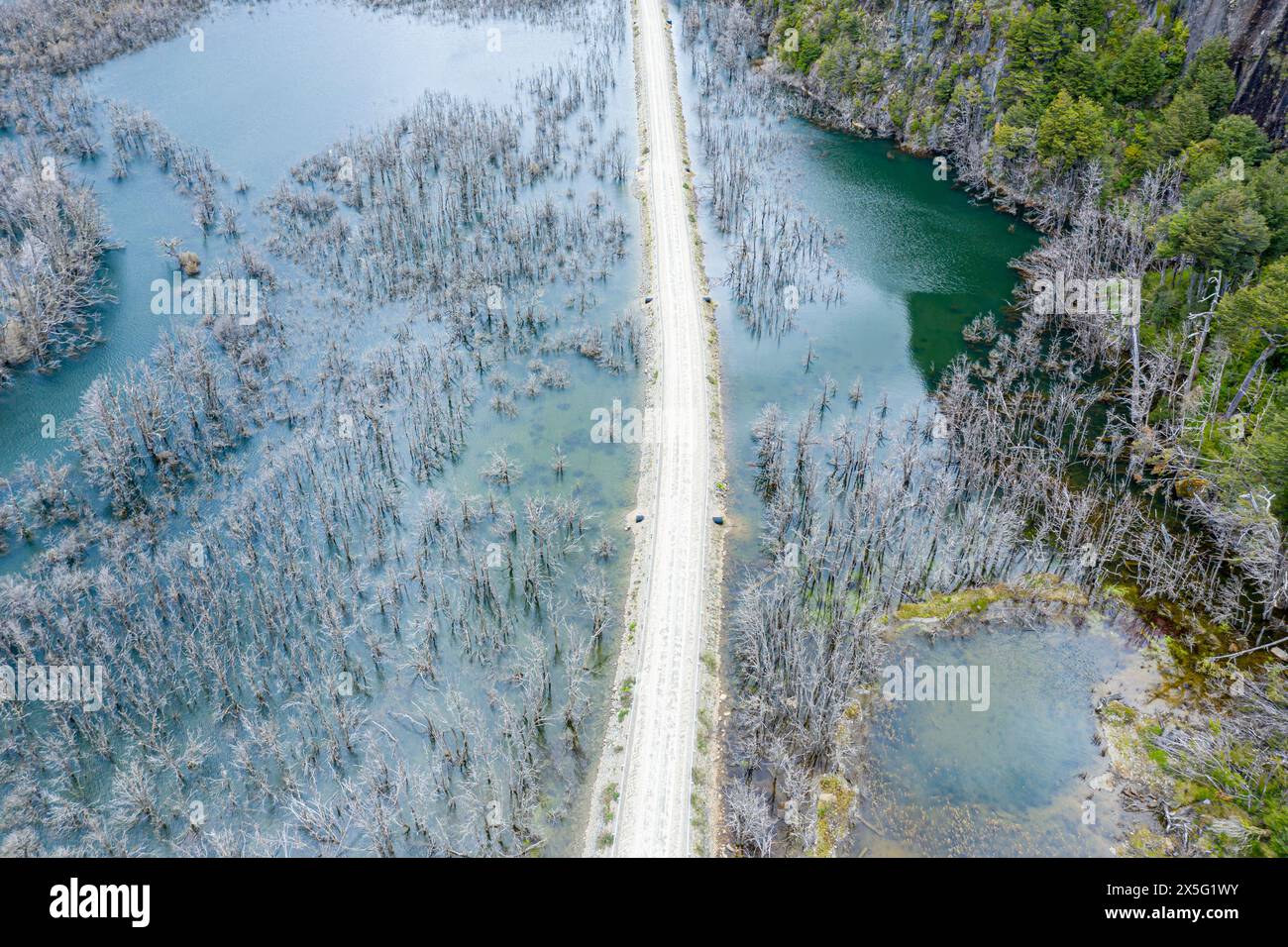 Flooded forest with dead trees, river Rio Norte damned by landslide ...