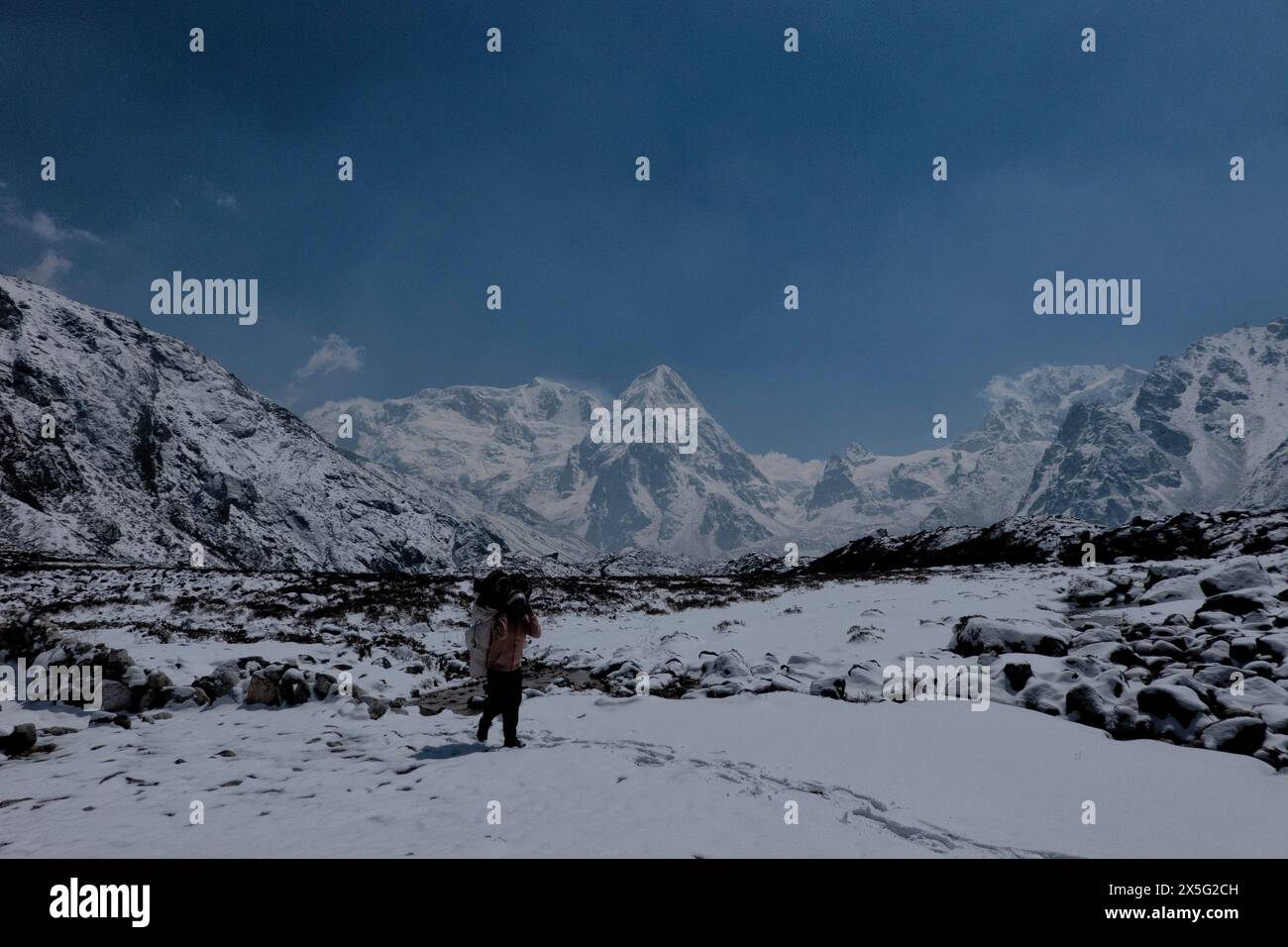 Porter carrying a load from Kangchenjunga (Kanchenjunga) Base Camp ...