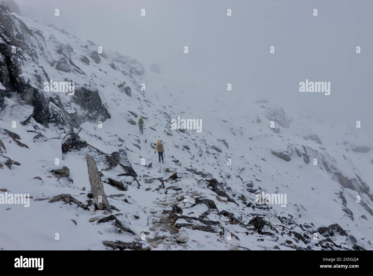 Trekking to the Sele La and Mirgin La passes on the Kangchenjunga ...
