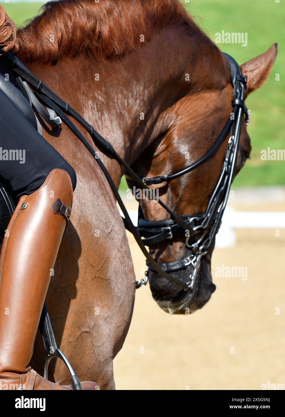 09.05.2024 Hickstead UK The I.C.E Horseboxes All England Dressage ...