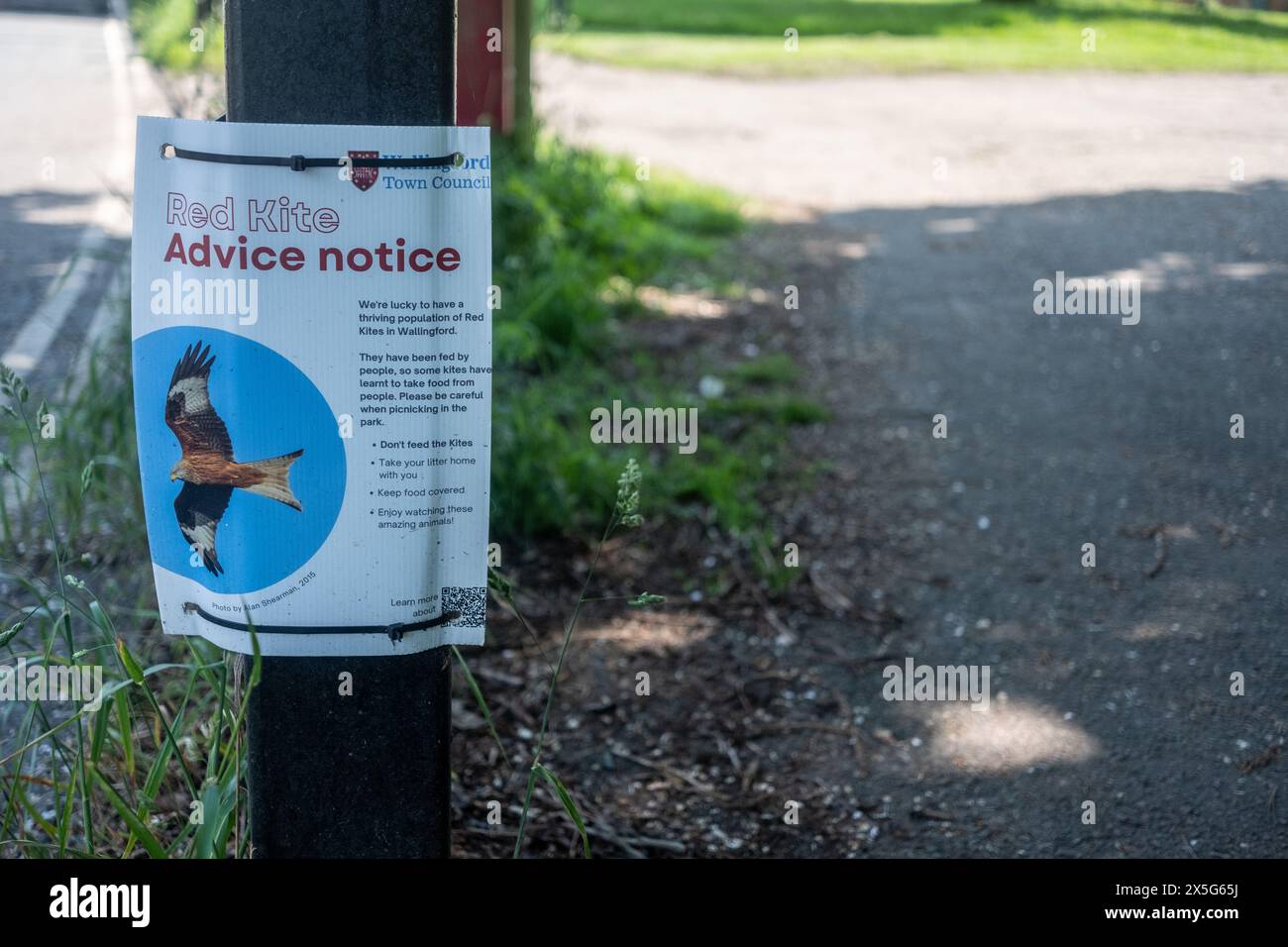 Red kite advice notice hi-res stock photography and images - Alamy