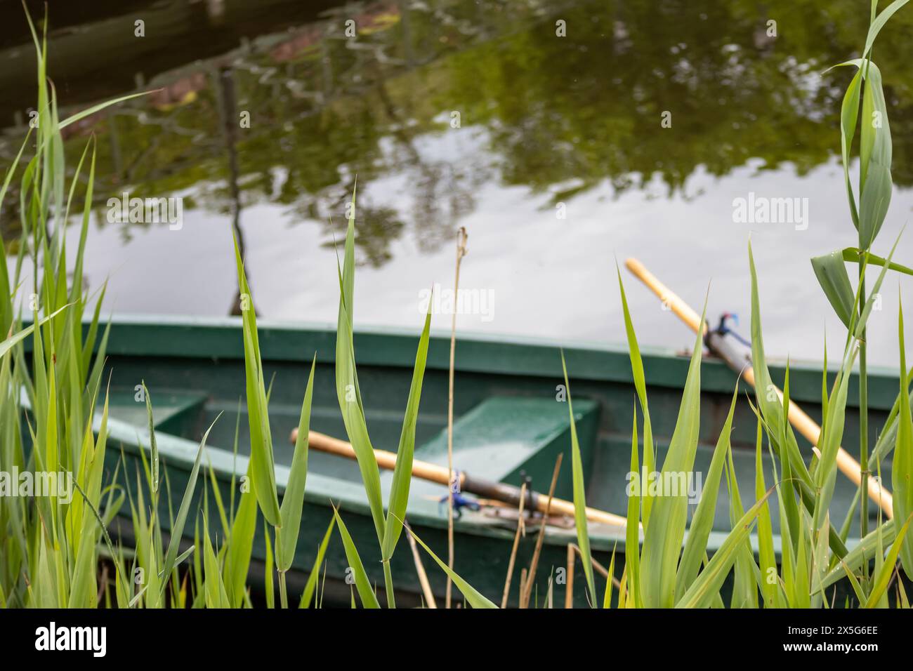 Scenic view with Comana lake part of Comana Natural Park, located near ...