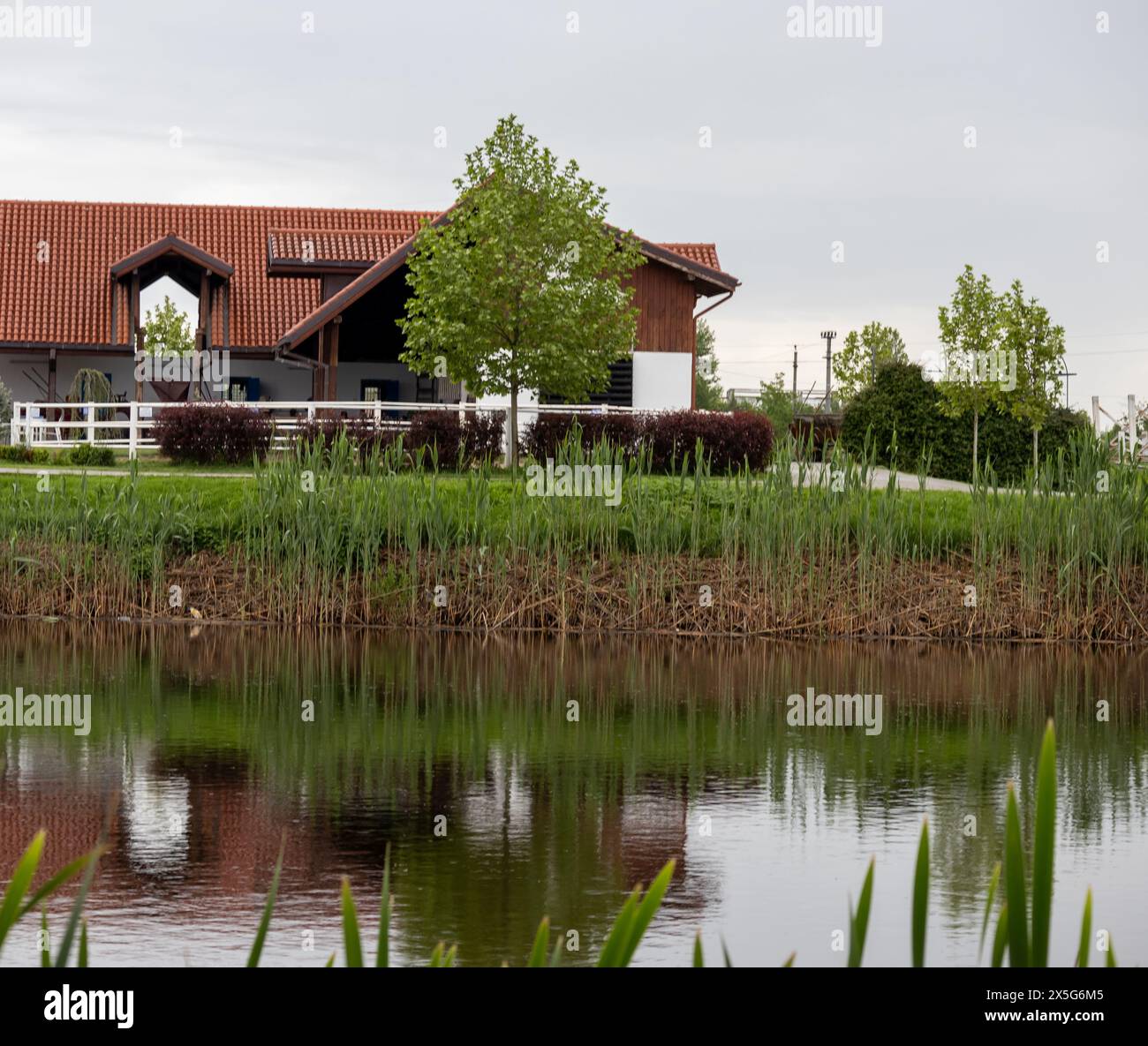 Scenic view with Comana lake part of Comana Natural Park, located near ...