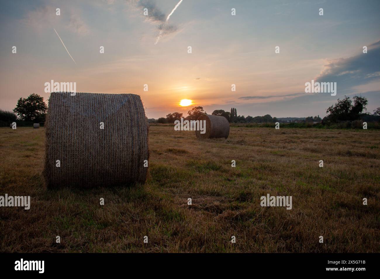 Suffolk farming hi-res stock photography and images - Alamy