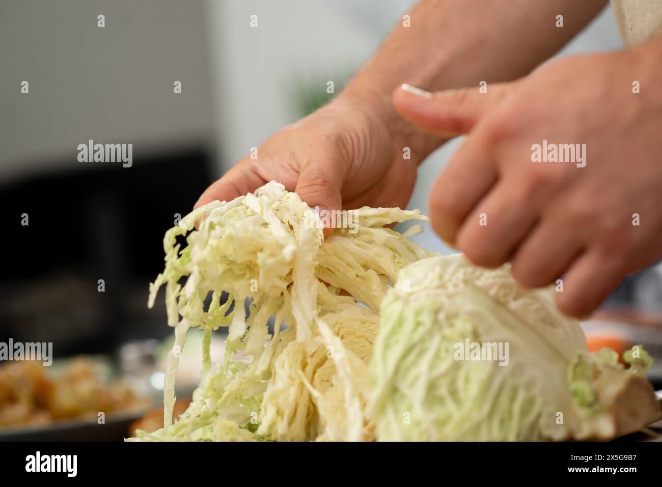 Person manually tearing white cabbage for a homemade recipe. Person ...
