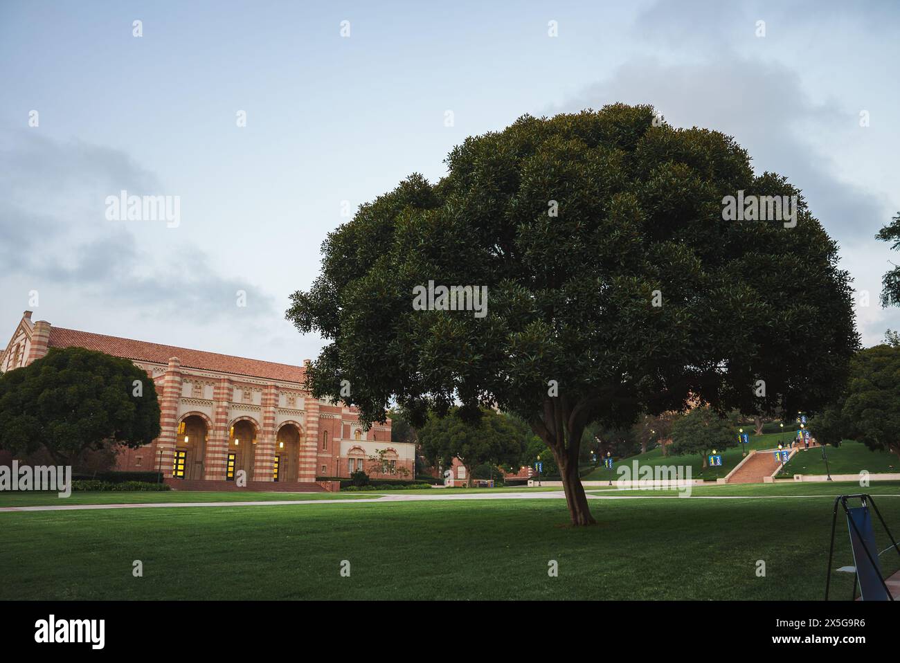 Campusplants hi-res stock photography and images - Alamy