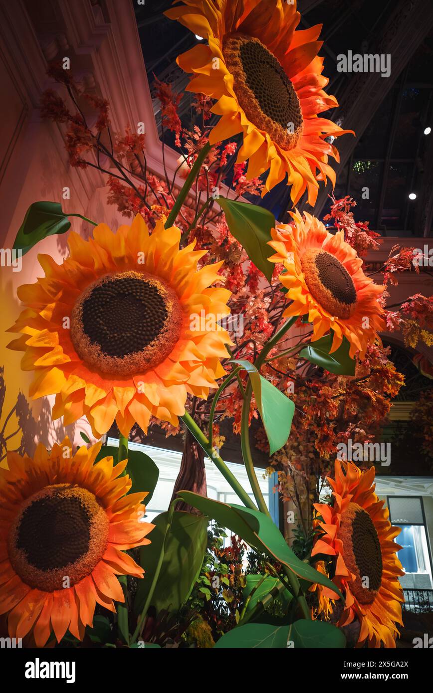 Vibrant Artificial Sunflowers Display in Las Vegas Setting Stock Photo ... Vibrant Artificial Sunflowers Display in Las Vegas Setting Stock Photo ...