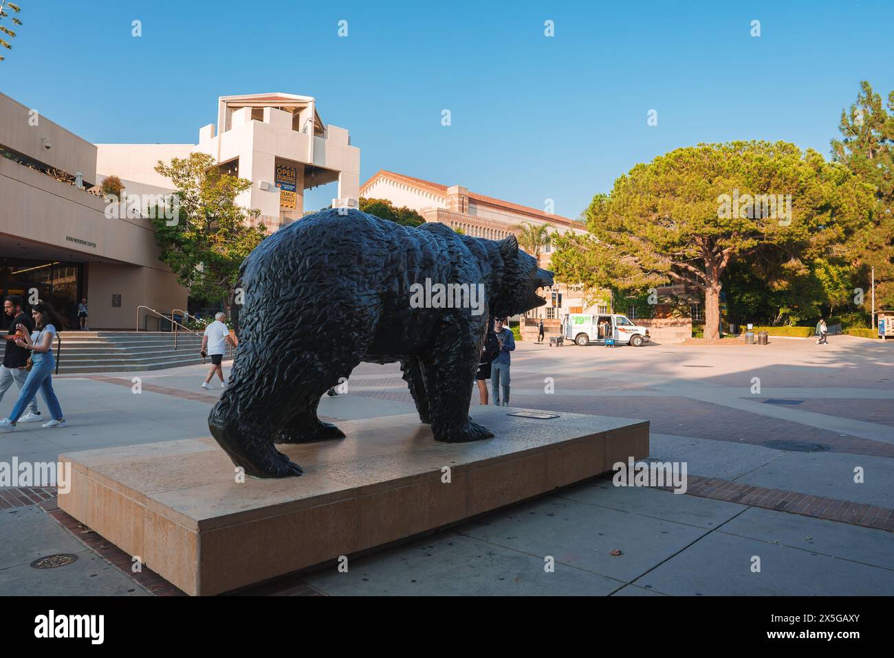 The Bruin Bear Statue at UCLA on the campus of UCLA Stock Photo - Alamy