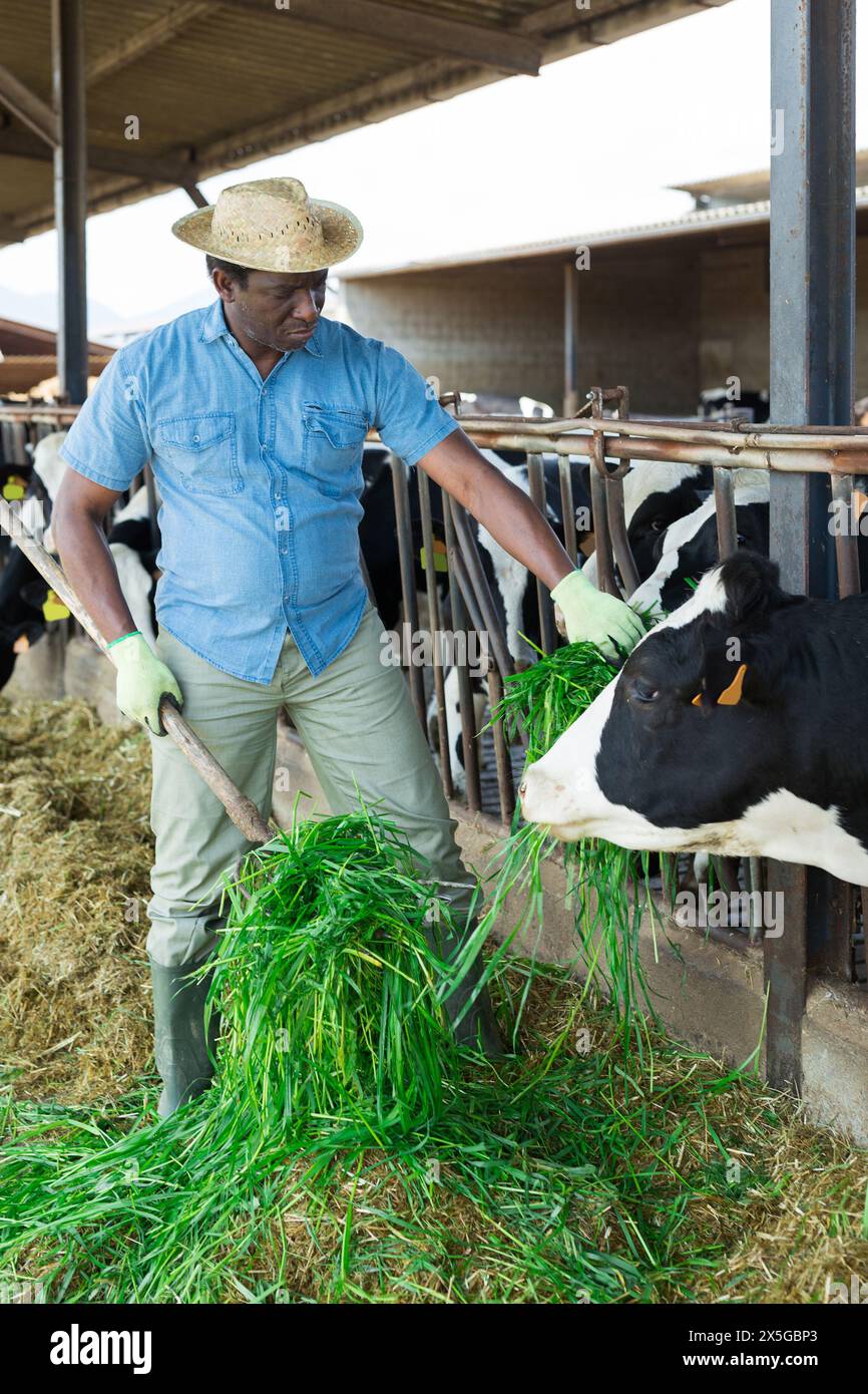Male middle age worker hi-res stock photography and images - Alamy