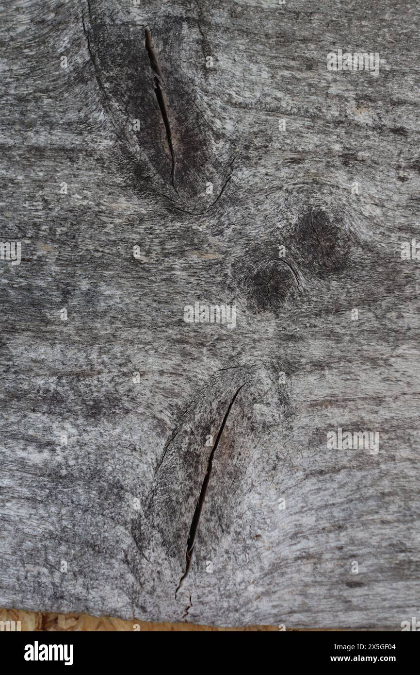 Plywood texture natural patterns hi-res stock photography and images ...