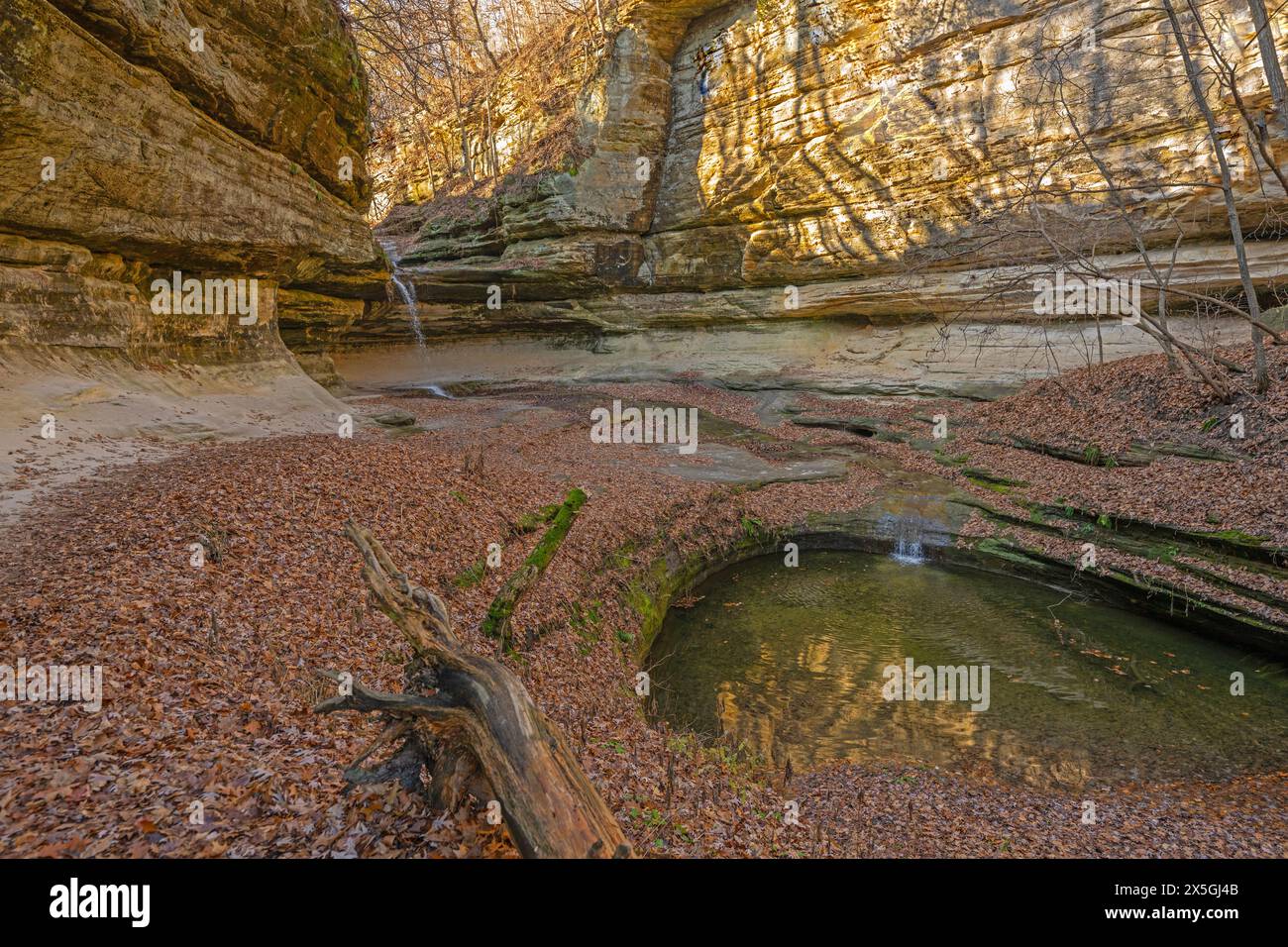 Mottled Morning Light in a Hidden Canyon in LaSalle Canyon in Starved ...