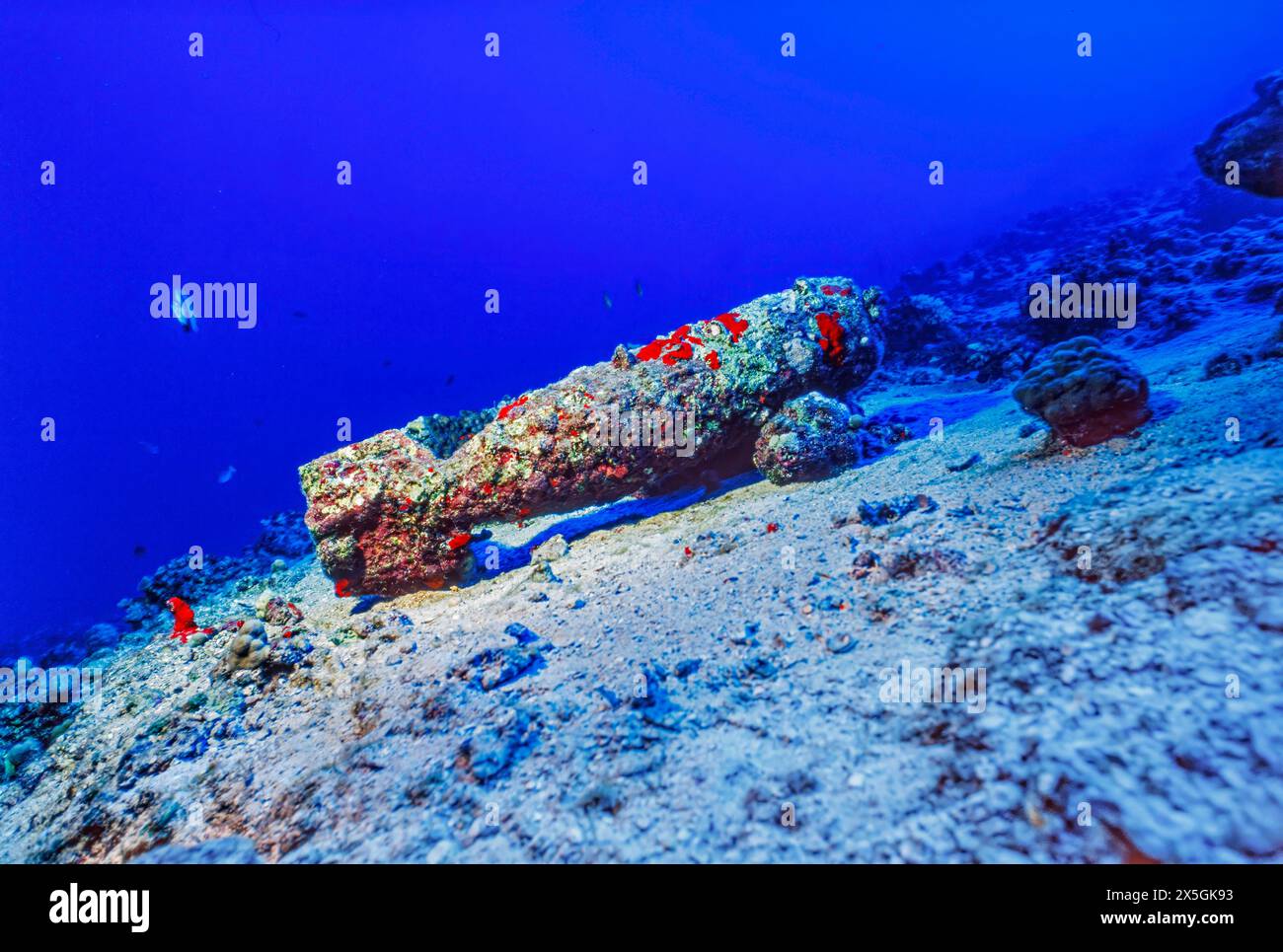 A coral encrusted unexploded bomb at depth off Molokini Marine Preserve ...