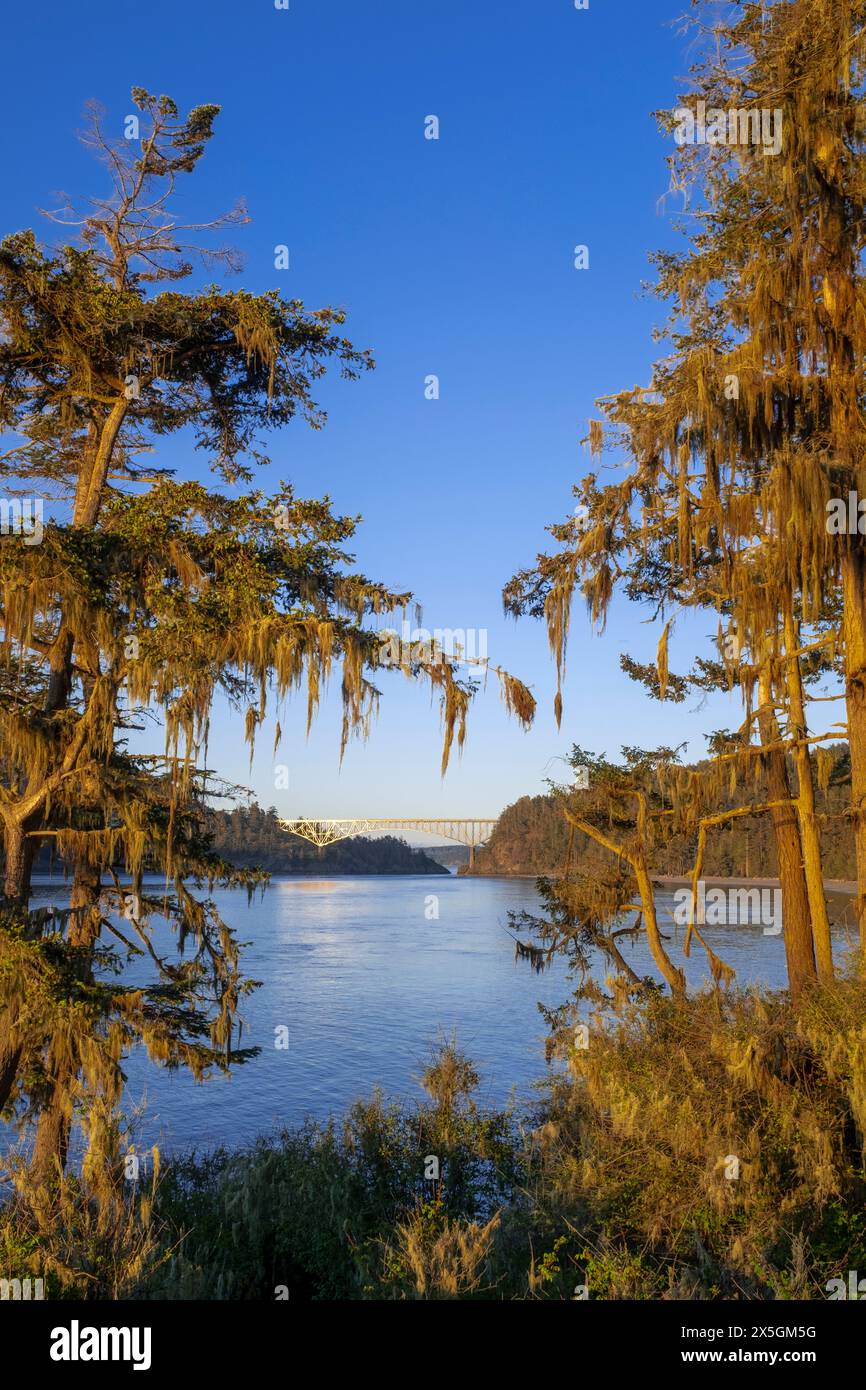 WA24839-00....WASHINGTON - Decption Pass and bridge as seen from West ...