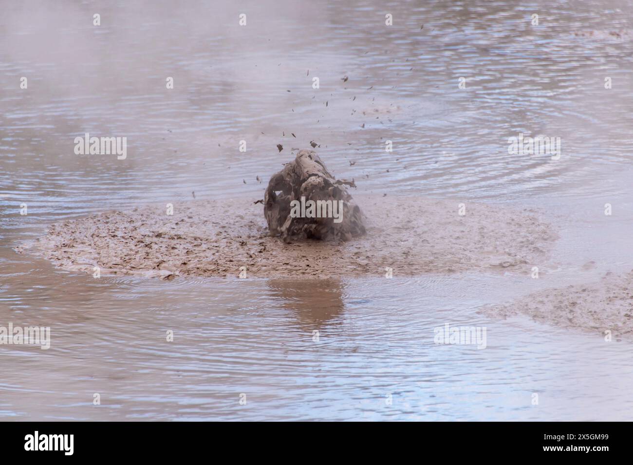 Waiotapu Mud Pool - New Zealand Stock Photo - Alamy