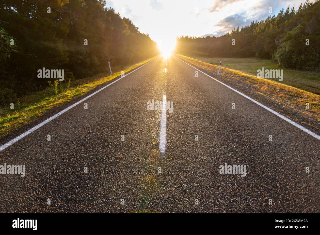 Volcanic Loop Highway 46 - New Zealand Stock Photo - Alamy