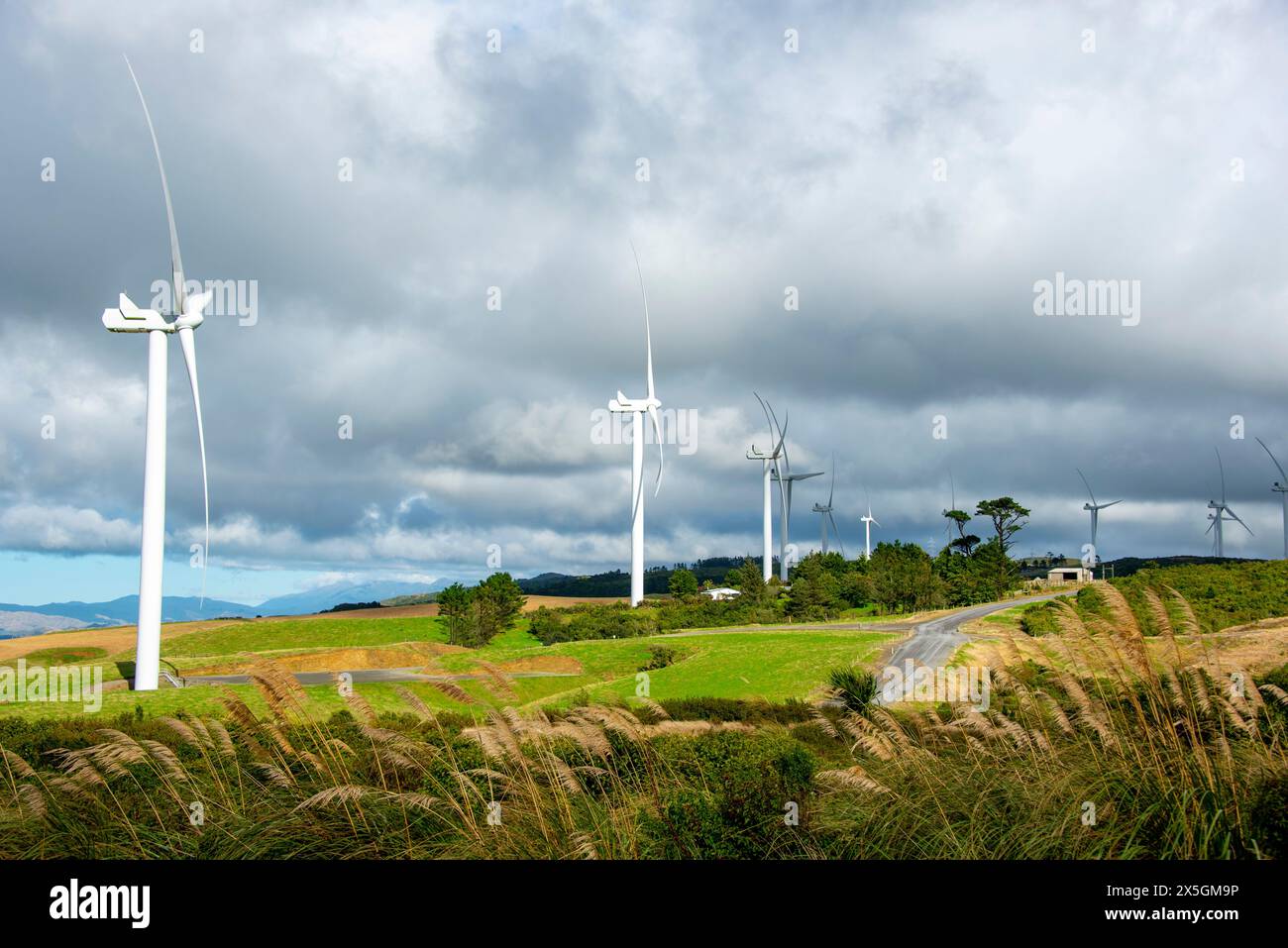 Wind farm new zealand hi-res stock photography and images - Alamy