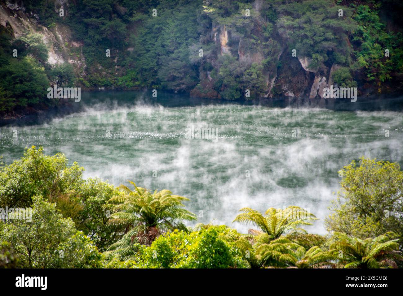 Frying Pan Lake in Waimangu Volcanic Valley - New Zealand Stock Photo ...