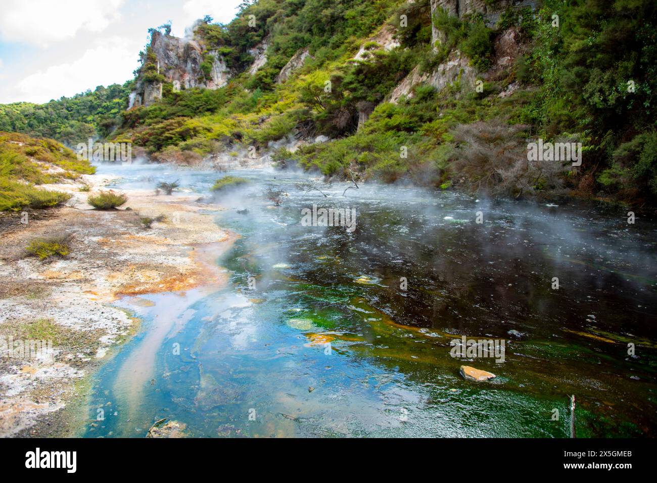 Frying Pan Lake in Waimangu Volcanic Valley - New Zealand Stock Photo ...