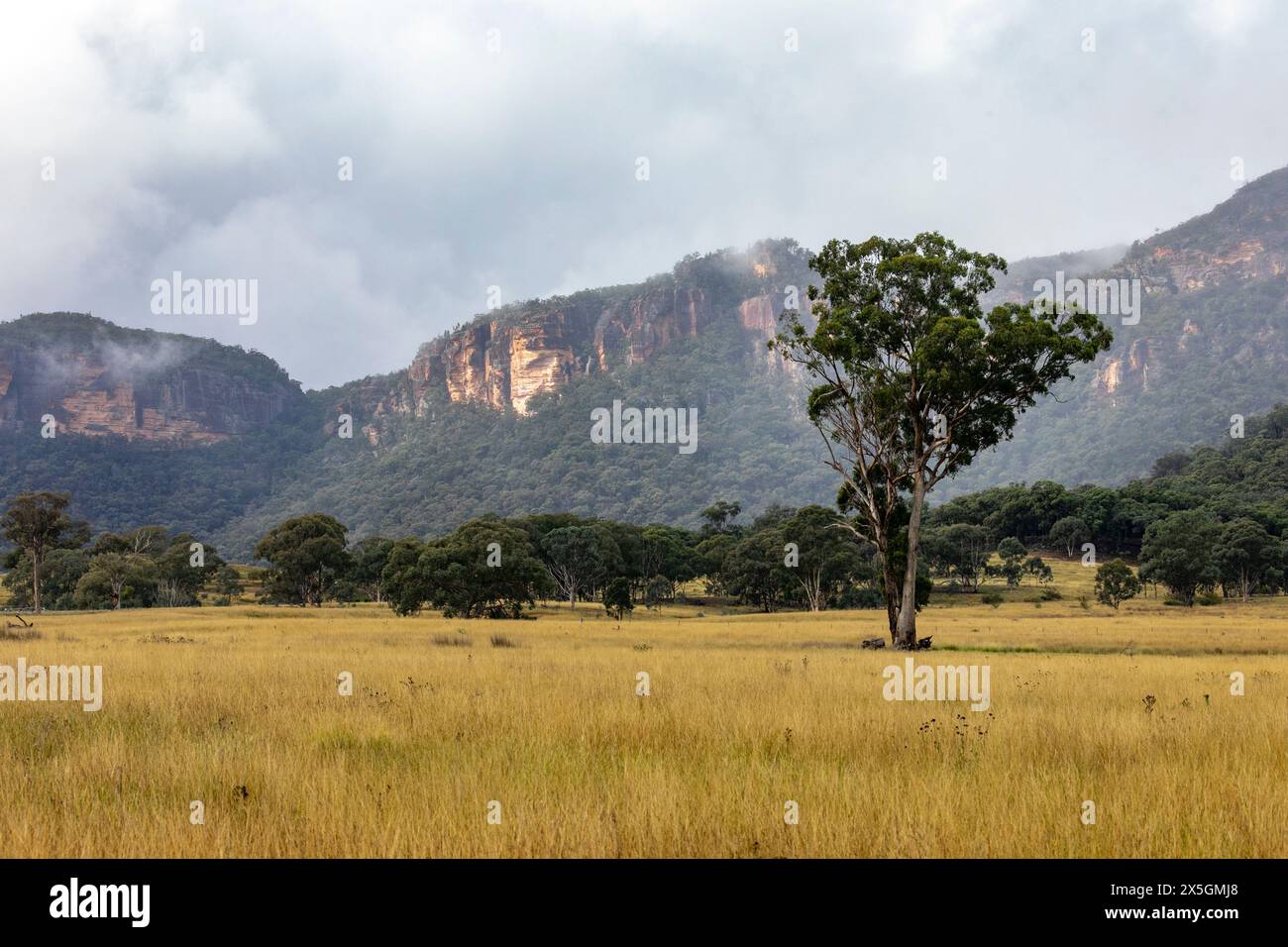 Capertee Valley and the stunning sandstone cliffs in Wollemi national ...