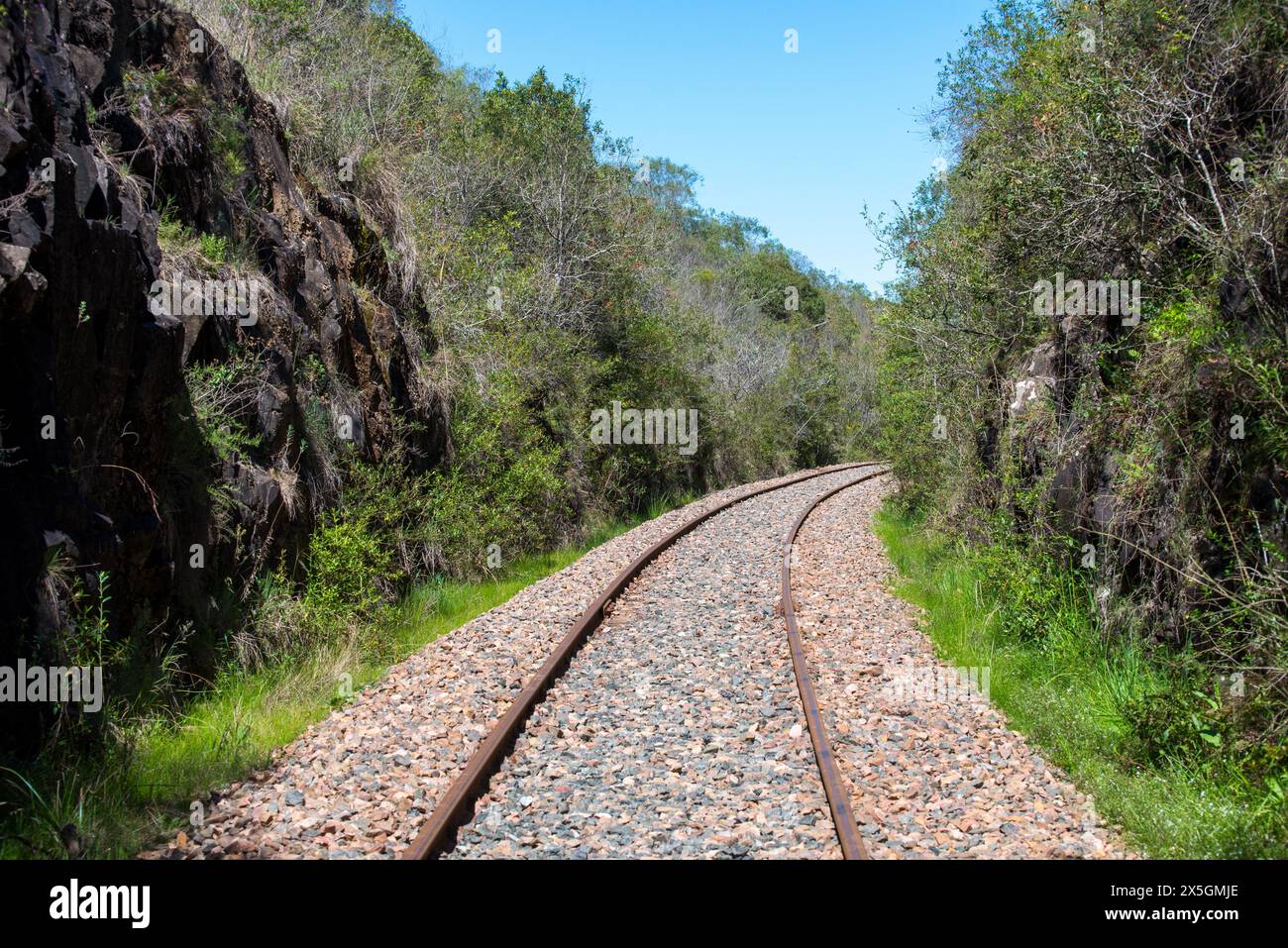 A train tracks run through a forest with trees on either side. The train is not in motion, and ...