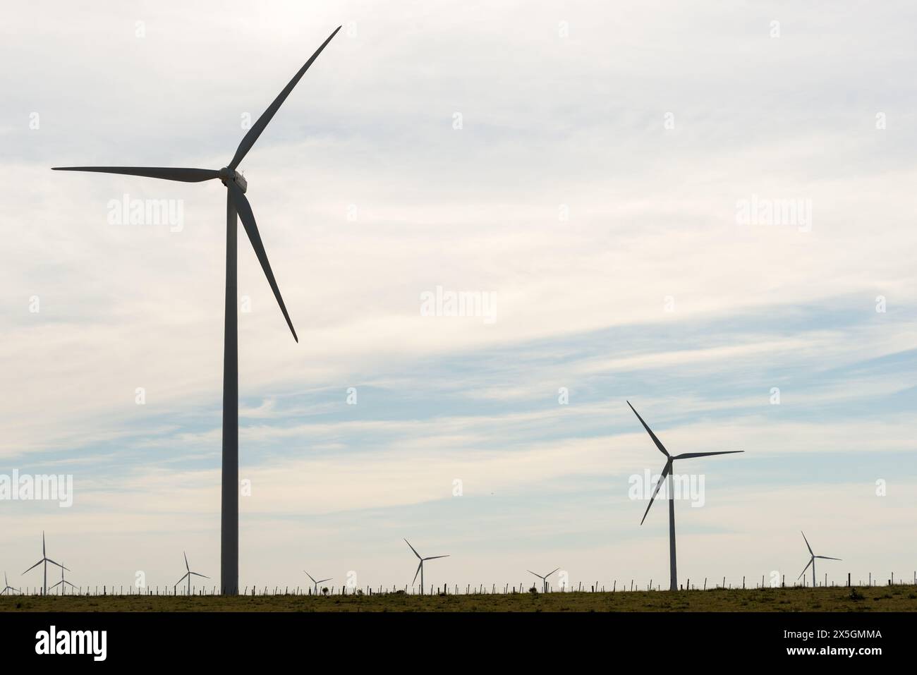 A row of wind turbines are in a field. The sky is cloudy and the wind ...