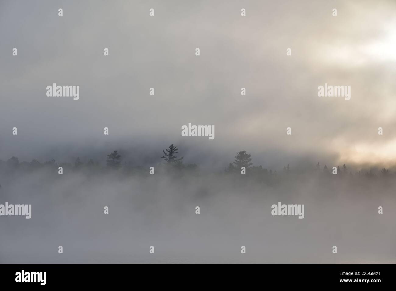 La Mauricie National Park Wapizagonke lake early in the morning. Fog in ...