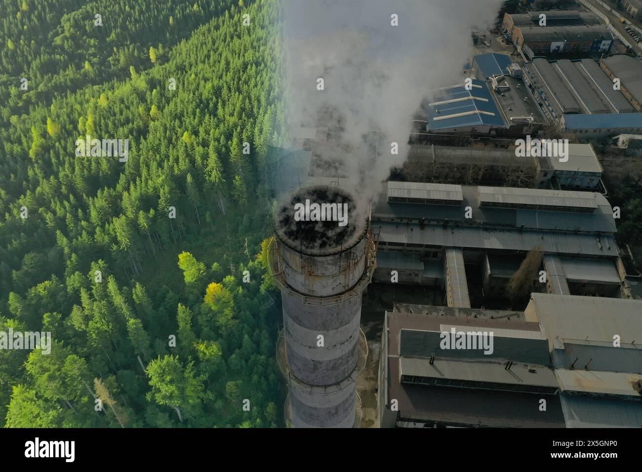 Environmental pollution. Collage divided into dense forest and ...