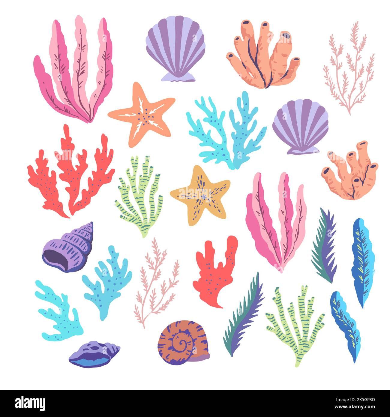 Set of sea elements, corals, seaweeds, shells and sea stars isolated on ...